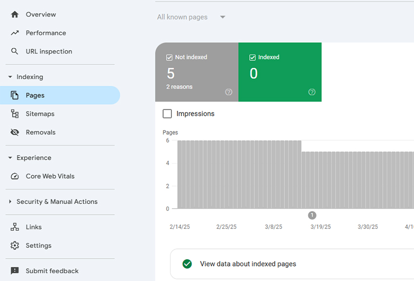 Why Isn't My Website Indexed by Google? | Prager Microsystems